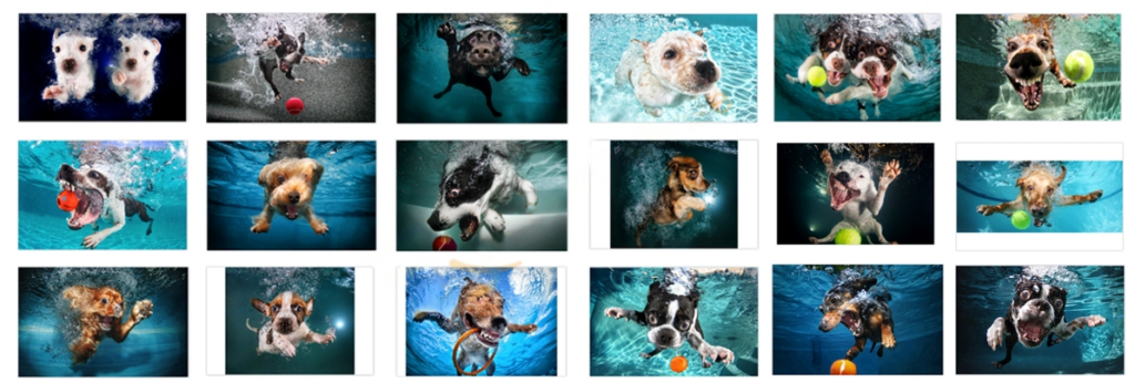 Seth Casteel Works - PGPrints