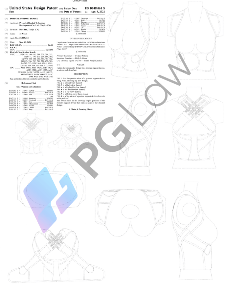 POSTURE SUPPORT DEVICE - PGPrints