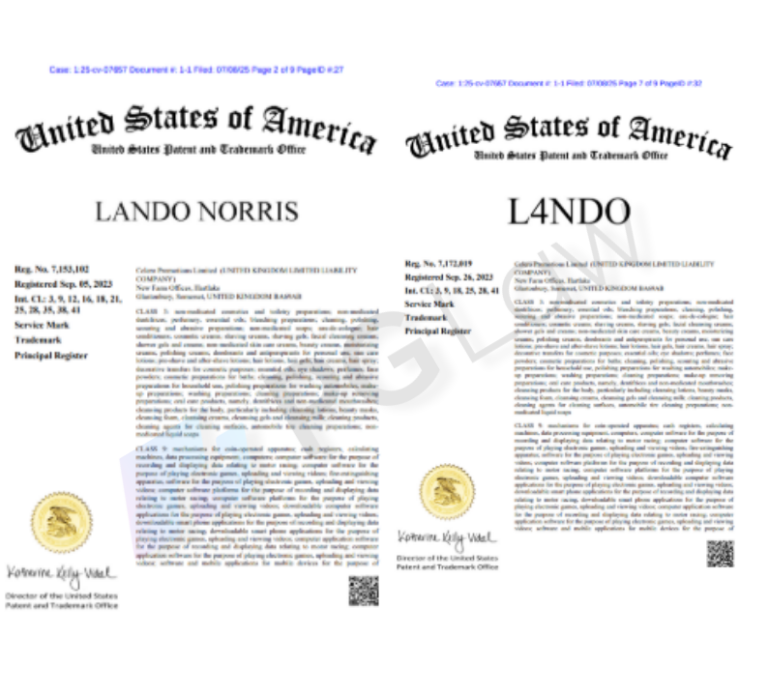 LANDO NORRIS - PGPrints