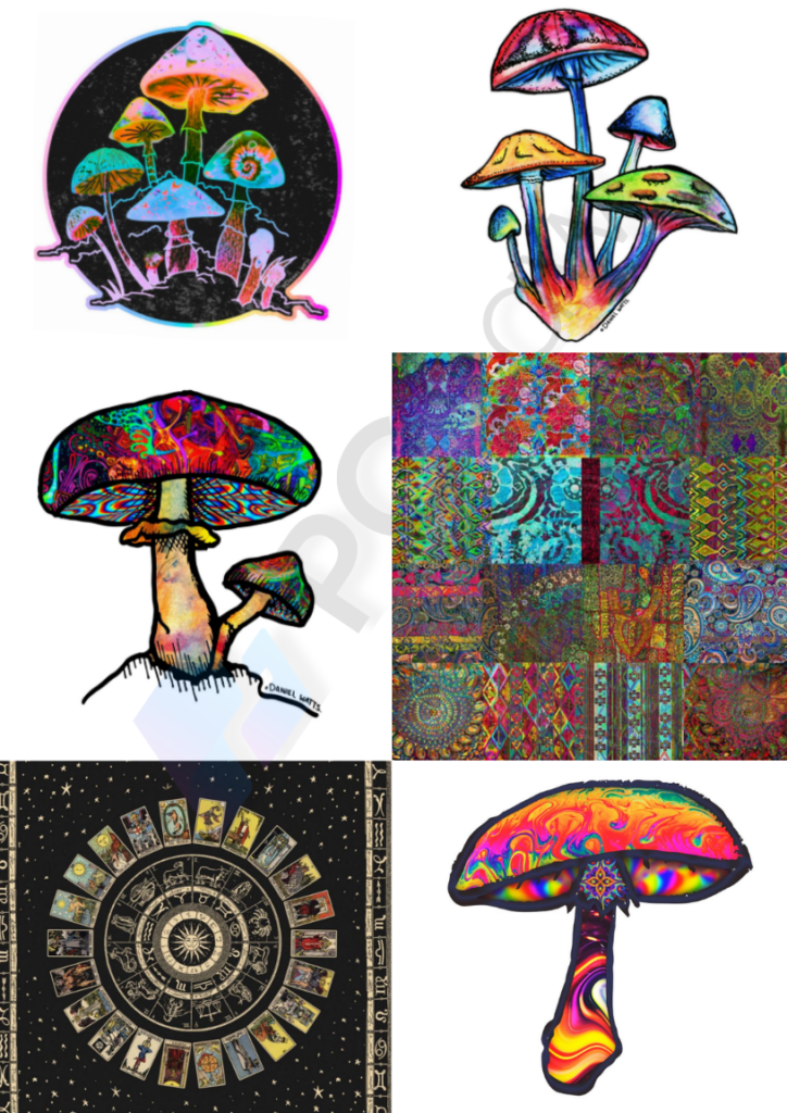 DANIEL WATTS PRODUCTS - PGPrints